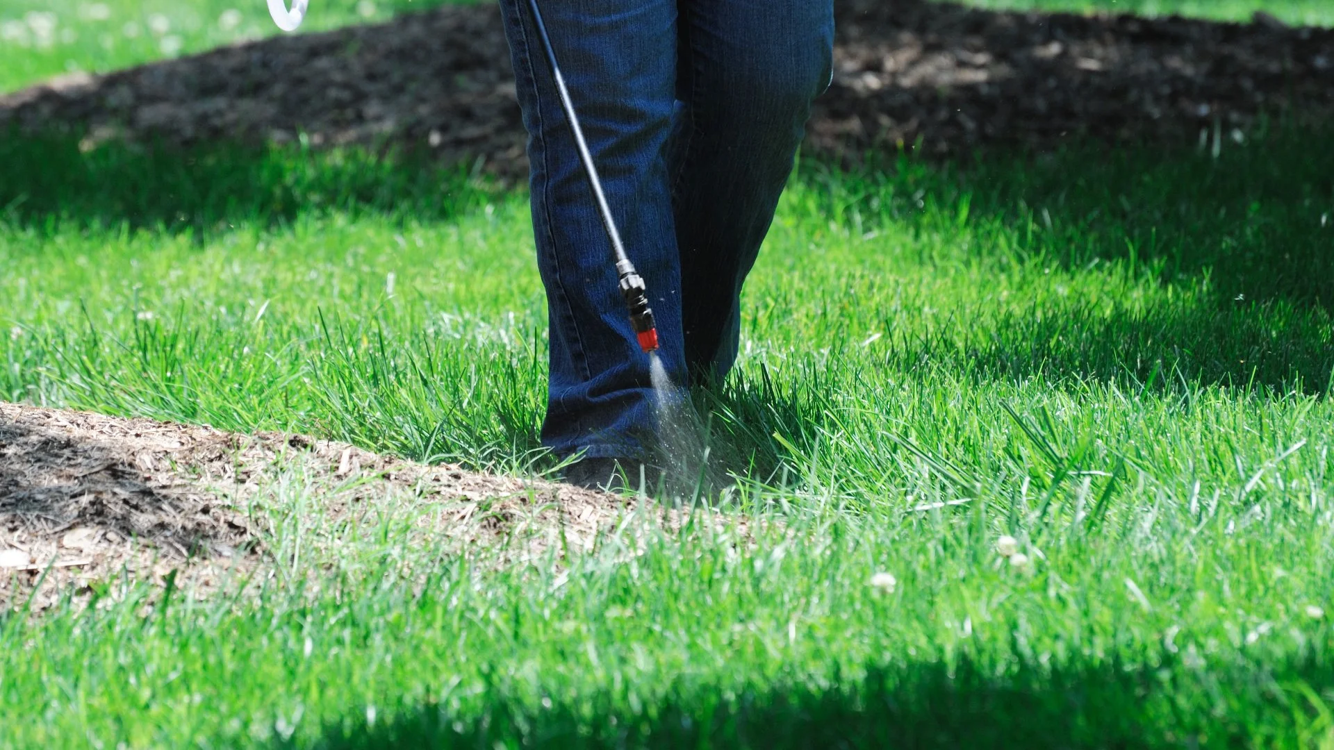 Weed Control in Bethlehem, Monroe & Winder, GA | Solid Green Lawn ...